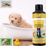 Milben beim Hund ᑕ ᑐ Hundemilben Mittel und Infos 2024